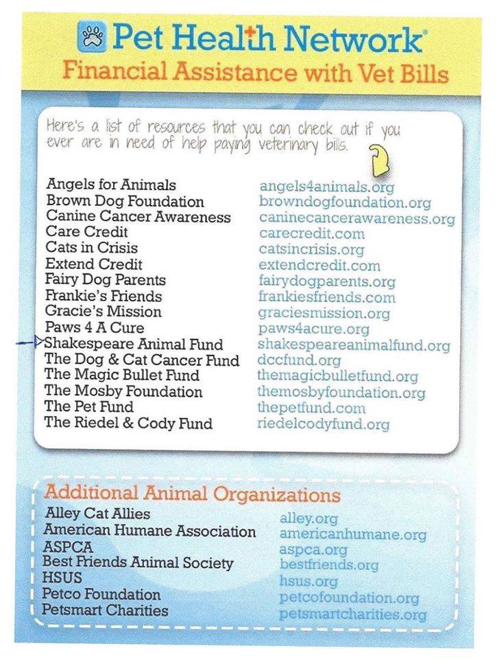 Vet Bills Assistance – Pet Info Alley